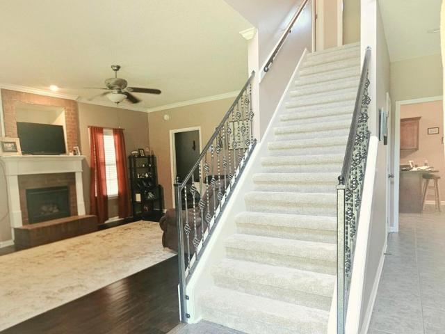 8686 Sheltowee Trail