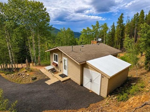 8680 London Ln, Conifer, CO 80433