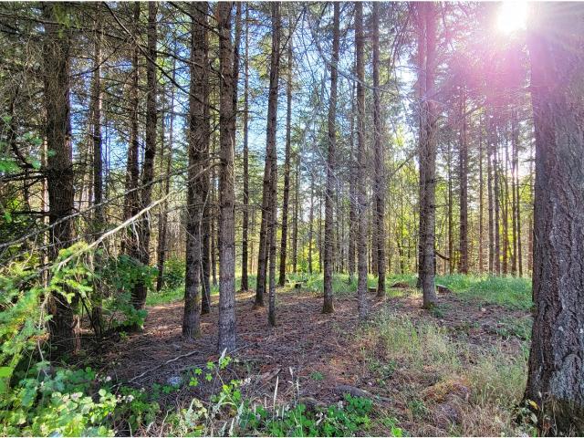 86820 Northill Ranch RD