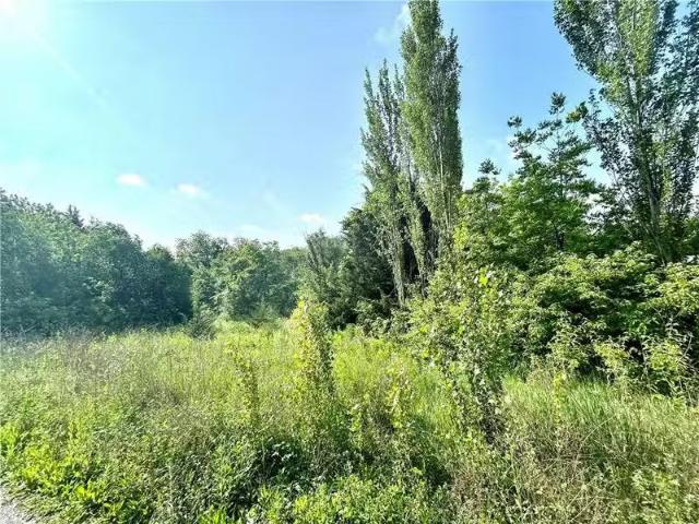 86 & 90 RED HAWK LANE, MOUND CITY, KS 66056 Vacant Land For Sa.