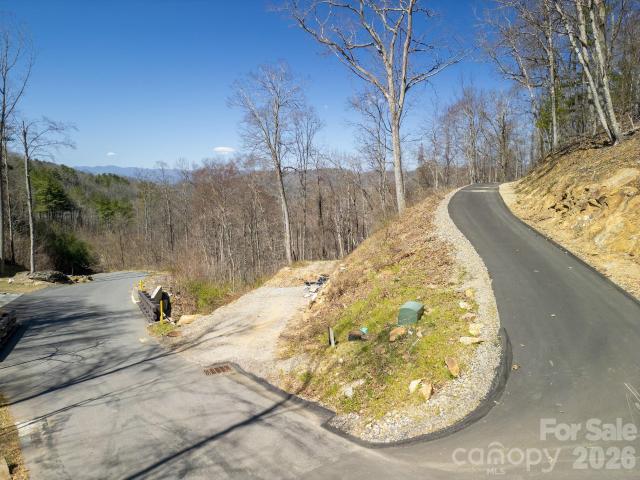 86 Bartrams Walk Dr, Unit 14, Asheville, NC 28804 | MLS #4371