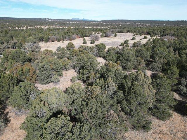 86 Candelaria Rd, Tijeras, NM 87059