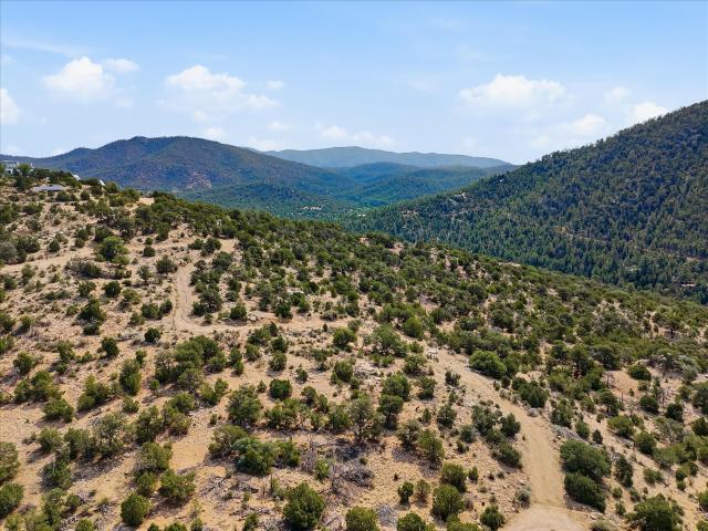 86 Coyote Mountain Road