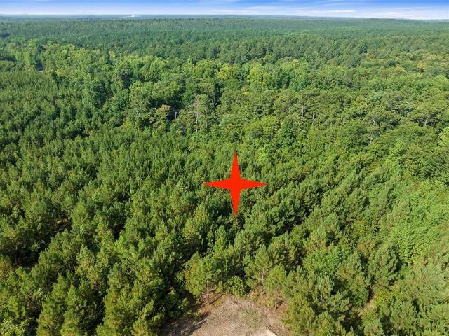 86 Legacy Point Trail
