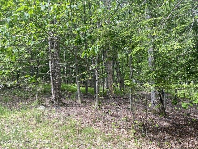 86 Lookout Point Rd, Canadensis, PA 18325