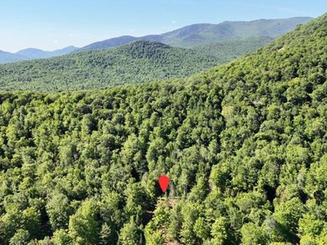 86 Maple Rdg Way, Keene, NY 12942