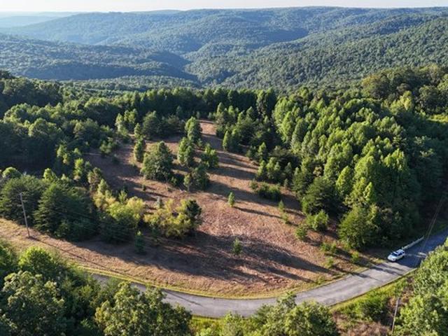 86 Mount Crest Dr, Spencer, TN 38585
