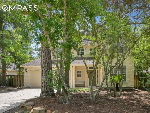86 N Apple Springs Cir, The Woodlands, TX