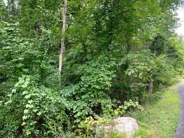 86 Pine Orchard Rd, Branford, CT 06405