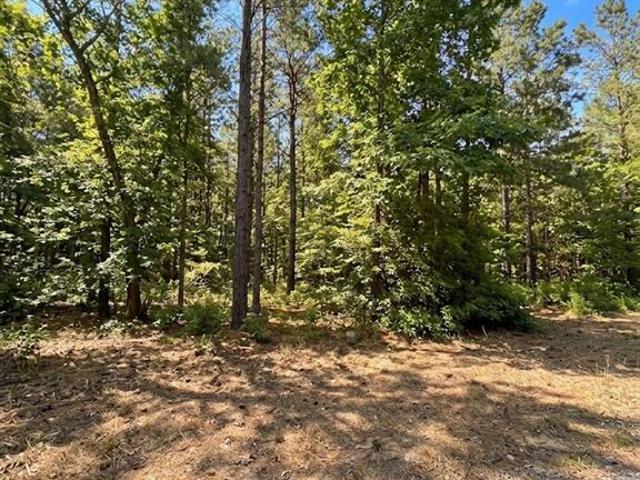 86 Southern Locust Trail