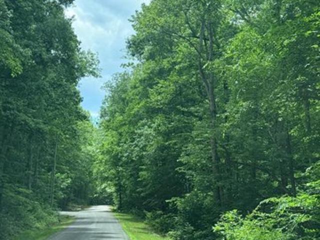 8704 Millwood Dr, Spotsylvania, VA 22551