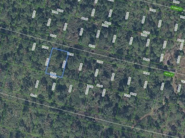 8705 Pavia St, Sebring, FL 33872