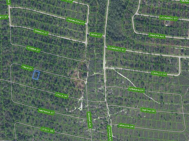 8705 Pavia St, Sebring, FL 33872 | MLS #P4938