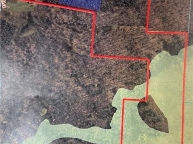 8707 Old State Rd, Copenhagen, NY 13626