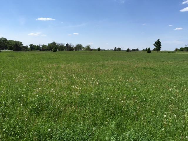 8709 Prairie Field Dr, Union, IL 60180 | MLS #08963