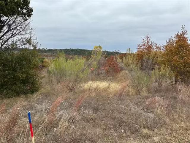 8709 Royal Tarlair Ln, Cleburne, TX 76033
