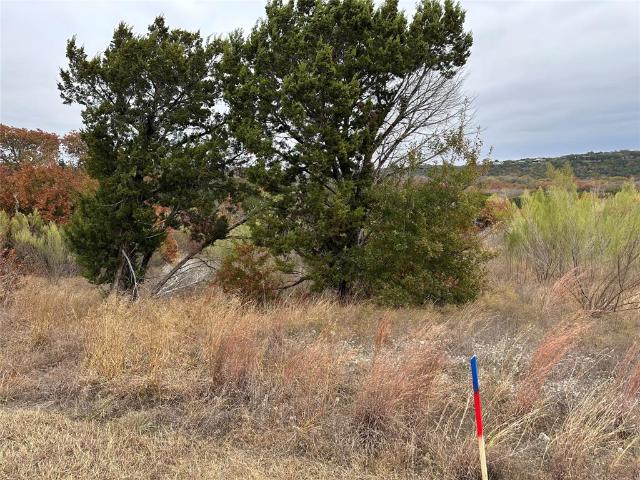 8709 Royal Tarlair Ln, Cleburne, TX 76033 | MLS #20785