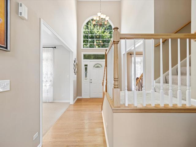 8709 Shade Tree Circle
