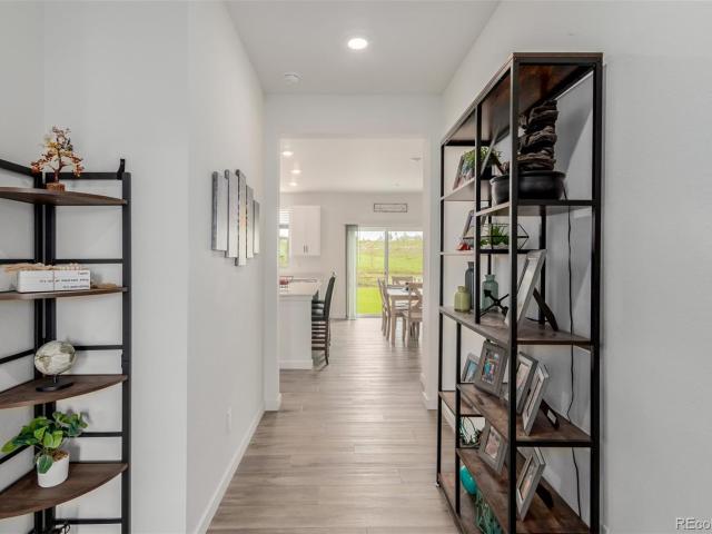 870 Mosquito Court