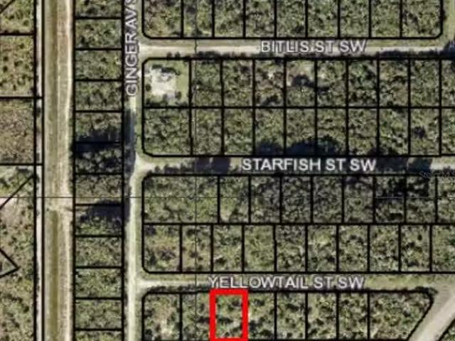 870 Yellowtail Street SW, Palm Bay, FL 32908 MLS NS1081040