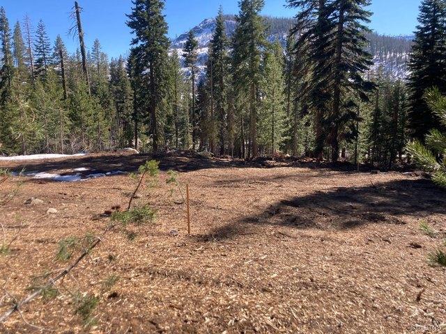 8715 Johnson Pass Rd, Twin Bridges, CA 96150
