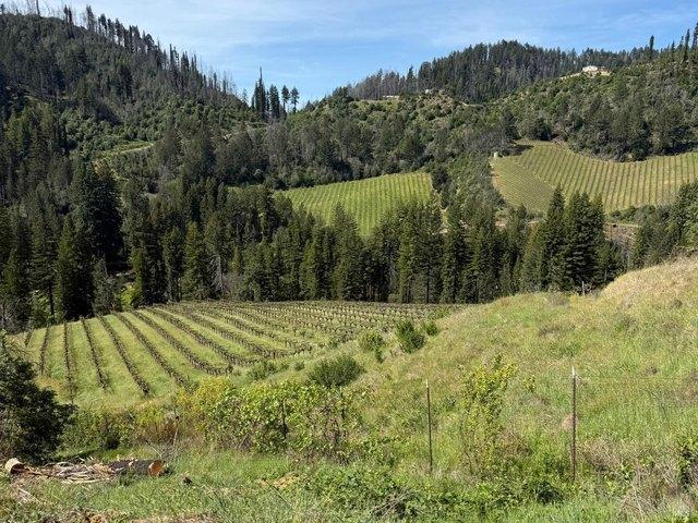 8717 Mill Creek Rd, Healdsburg, CA 95448