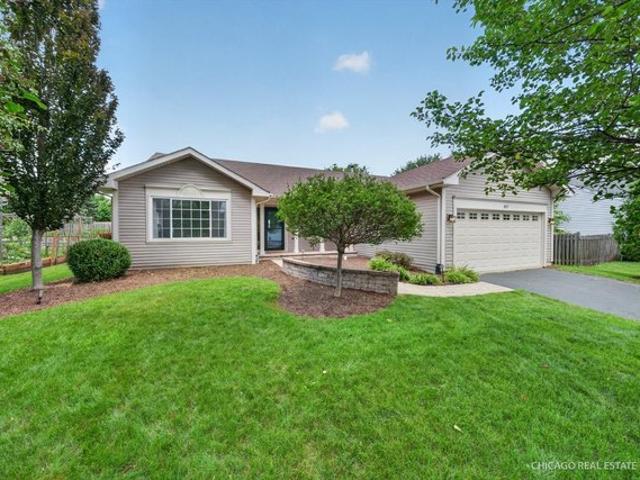 871 Brandt Dr, Lake in the Hills, IL 60156