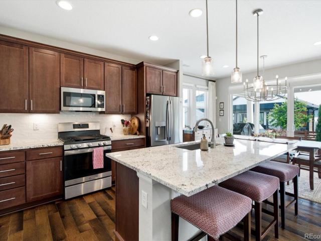 871 Golden Peak Drive