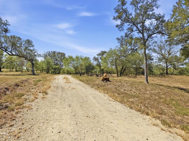 871 Political Rd