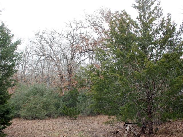 8729 E Fm 20 Highway