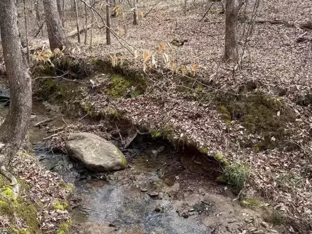 8723 UPTON RD # 1, ADGER, AL 35006 Vacant Land For Sale MLS#.