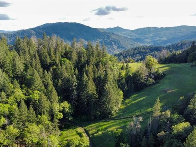 8735 Woodman Creek Rd, Laytonville, CA 95454