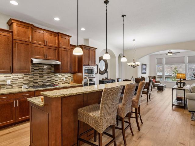 8736 Lake Riley Drive