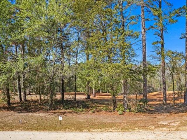 8741 Wilder Trl, Tyler, TX 75703