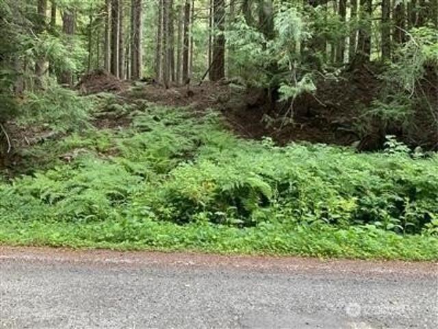 87426 NE Old Cascade Hwy, Skykomish, WA 98288