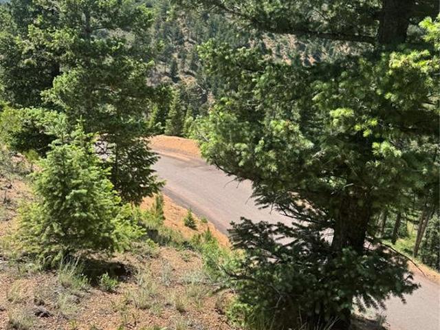 8743 High Mark Pt, Woodland Park, CO 80863 | MLS #7182