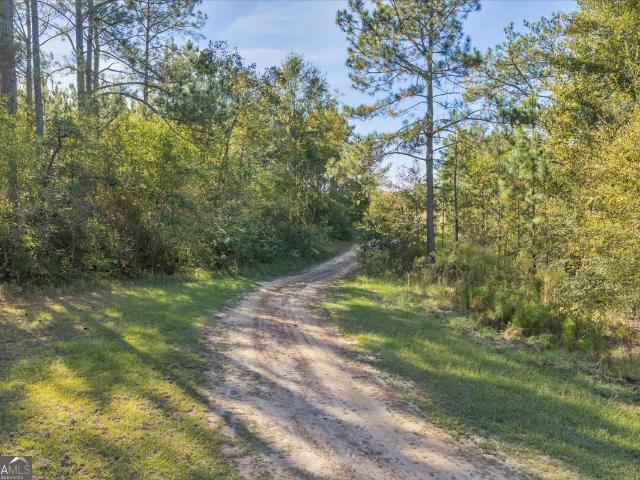 874 Mistletoe Road