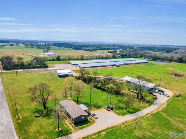 875 County Road 132