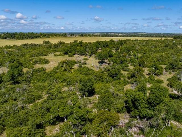 875 Gypsum Mine Rd, Fredericksburg, TX 78624