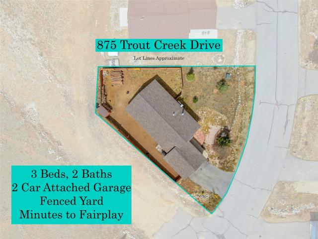 875 Trout Creek Dr, Fairplay, CO 80440 | MLS #S1068