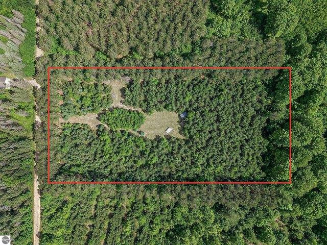 8767 Rustic Ln SW, Fife Lake, MI 49633