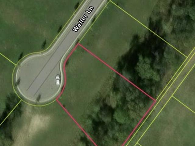 8761 Weller Ln, College Grove, TN 37046