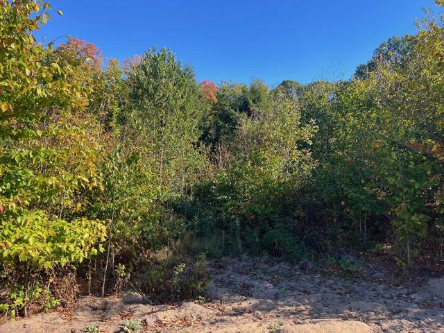 8762 Hemlock Hill Drive # Lot: 11