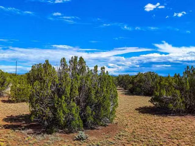 8774 Coronado Dr, Show Low, AZ 85901 MLS 251967