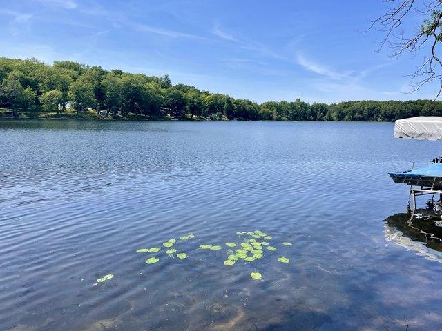 8771 Chainolakes Dr, Delton, MI 49046