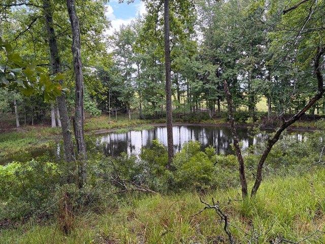8771 Fallow Run, Larue, TX 75770