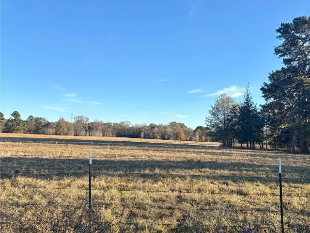 877 County Road 4110