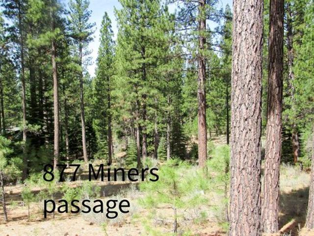 877 Miners Psge, Clio, CA 96106