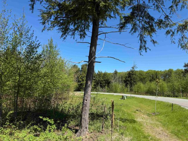8787 Hemlock Hill Drive # Lot: 14
