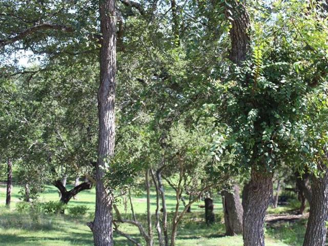 878 Ledgeview Dr Lot 259, Canyon Lake, TX 78133